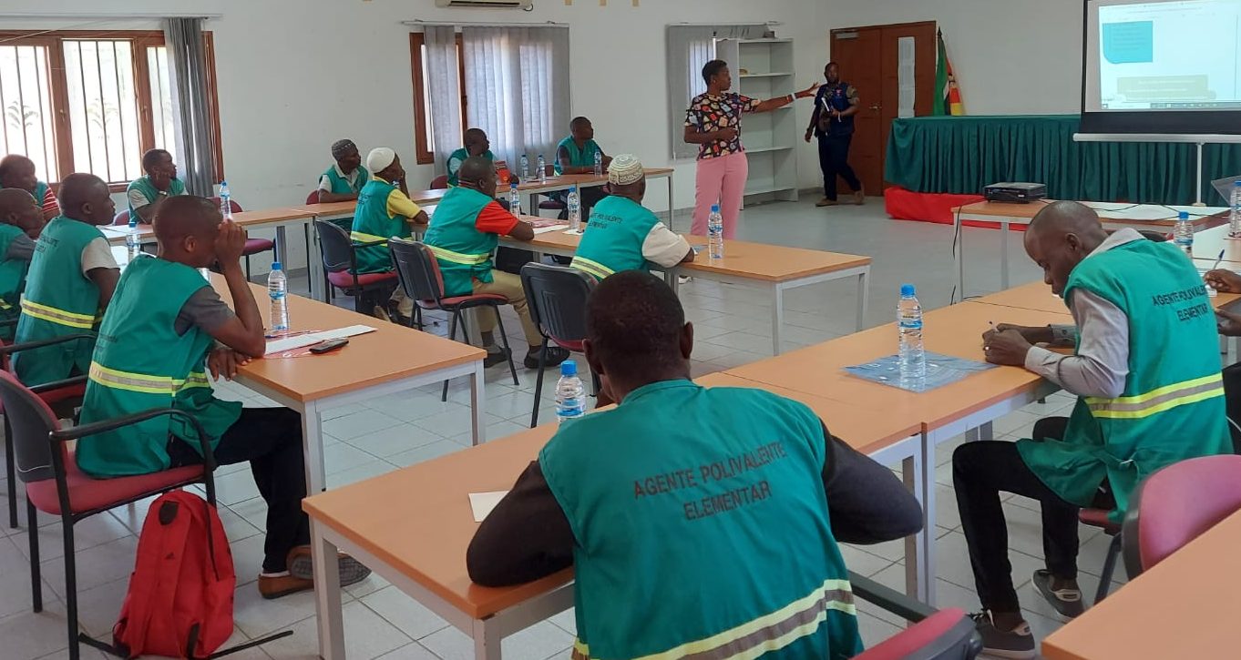 Refresher training for community health workers in northern Mozambique - The MENTOR Initiative